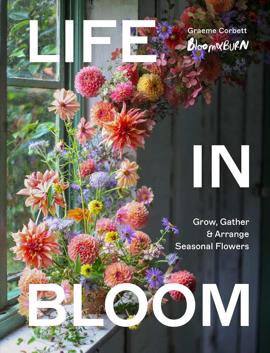 Life in Bloom – Snapdragon Edinburgh