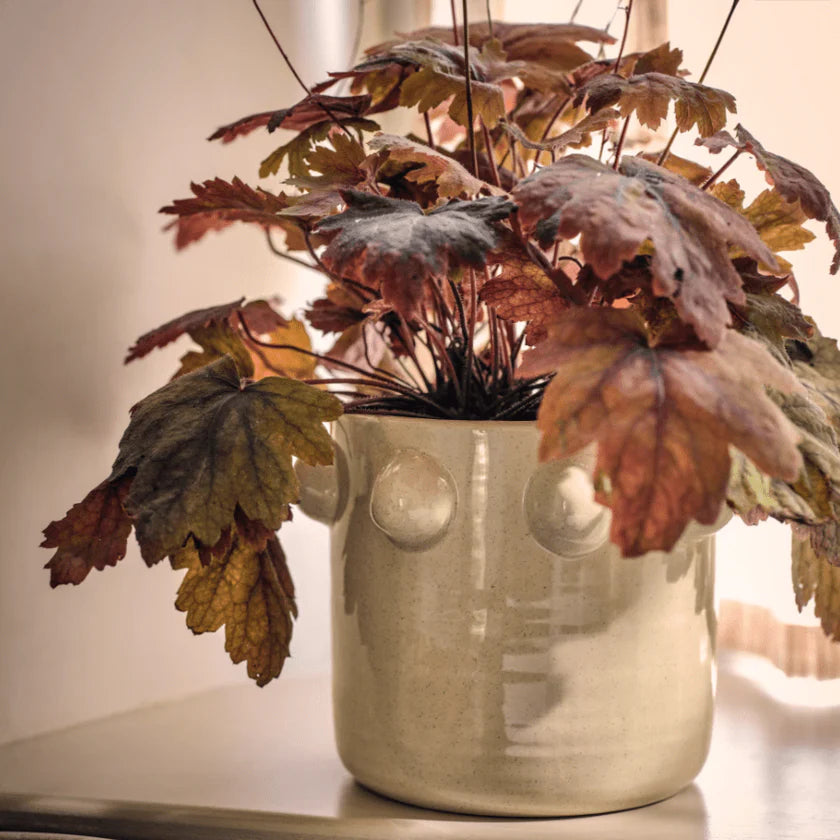 Milcombe Bobble Plant Pot – Snapdragon Edinburgh